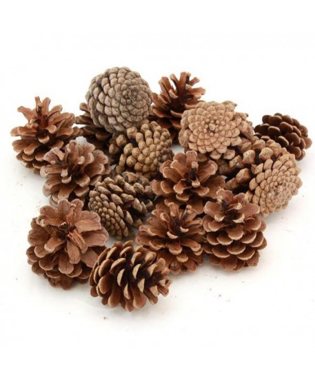 PIÑAS NATURALES MARRÓN Y NEGRO Ø 5 - 7cm. (1Kg.)