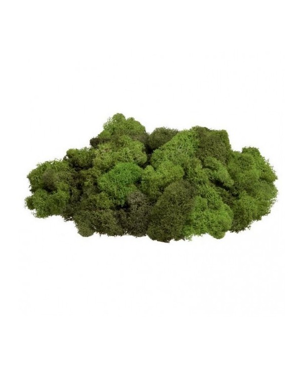 MUSGO NATURAL VERDE CLARO (500gr.)