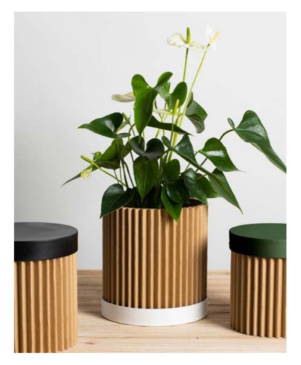 MACETA DE CARTÓN KRAFT CON OLAS NATURAL Ø 16 x H 17,5cm.